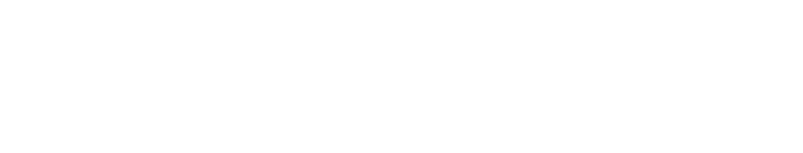 Nexrage Studios Custom Software & AI Solutions